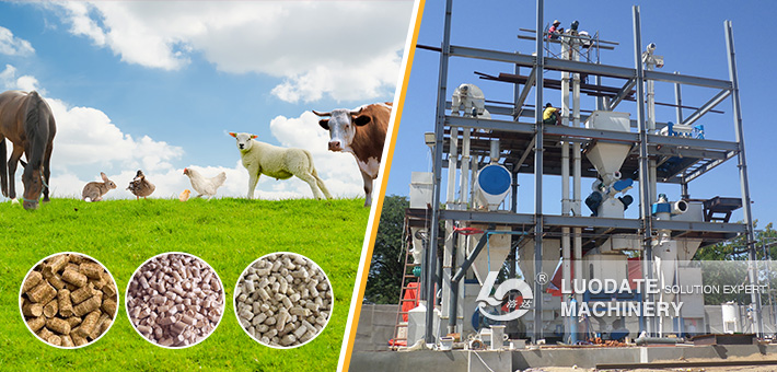 Animal Feed Production Line - Feed Pellet Mill, Animal Feed Production ...