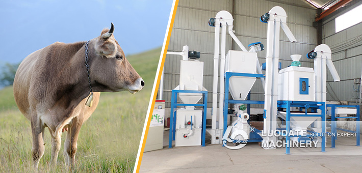 Livestock & Cattle Feed Production Line - Feed Pellet Mill, Animal Feed ...